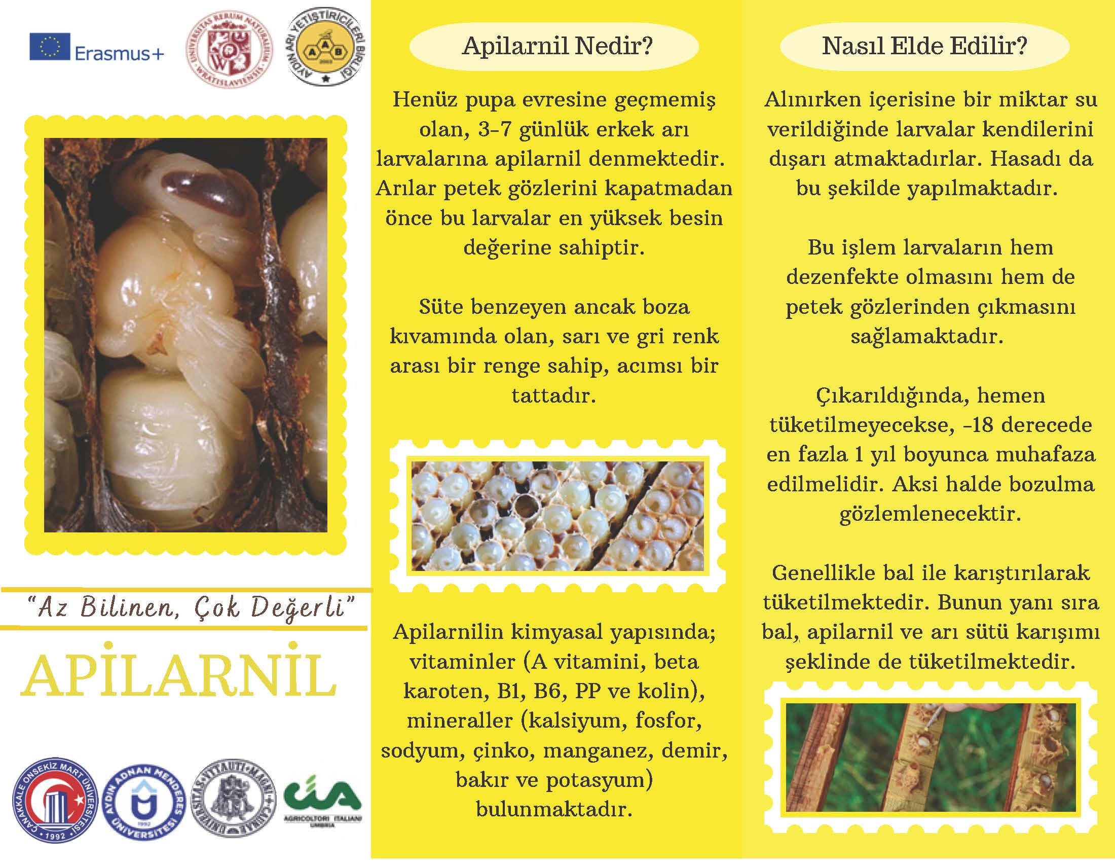 Medical Beekeeping for Beekeepers